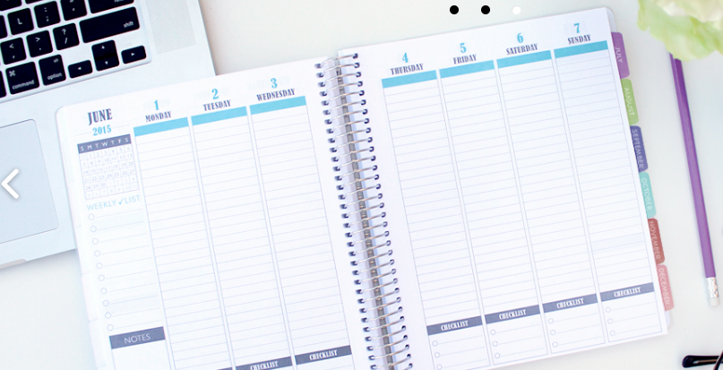 For Photographers: Planner Comparison | Brittney Sue Photography